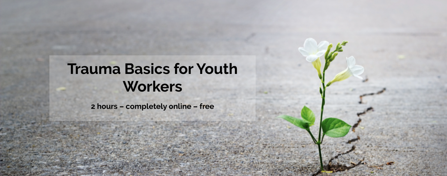 Trauma Basics for Youth Workers – Center for Adolescent Studies