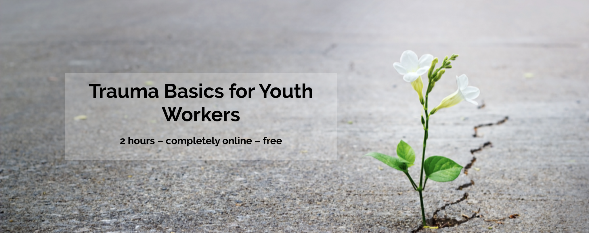 Trauma Basics for Youth Workers – Center for Adolescent Studies