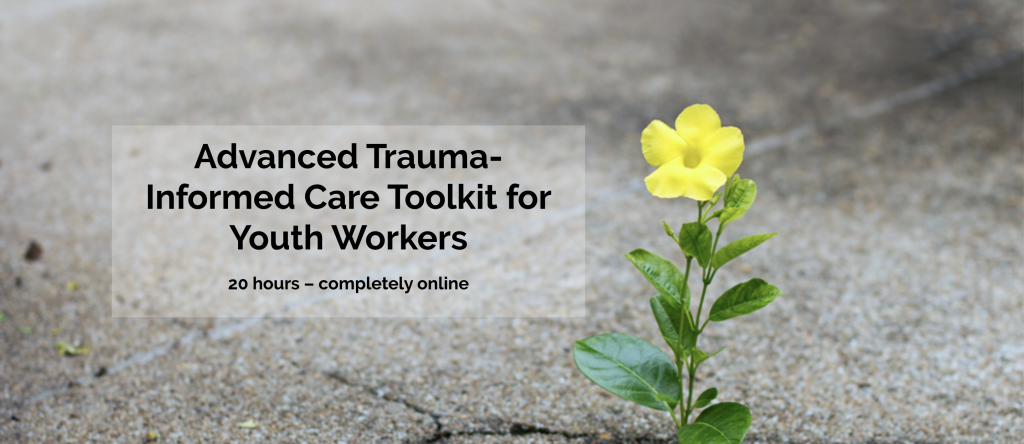 Advanced Trauma-Informed Care Toolkit for Youth Workers (Self-Paced ...