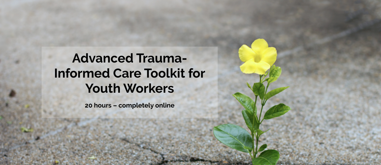 Advanced Trauma-Informed Care Toolkit for Youth Workers (Self-Paced ...